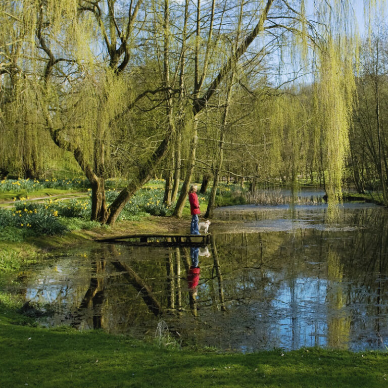 Pond Water Delivery | Bulk Water Hauling for Backyard & Farm Ponds